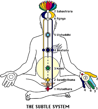 Seventh Chakra Sahasrara Chakra